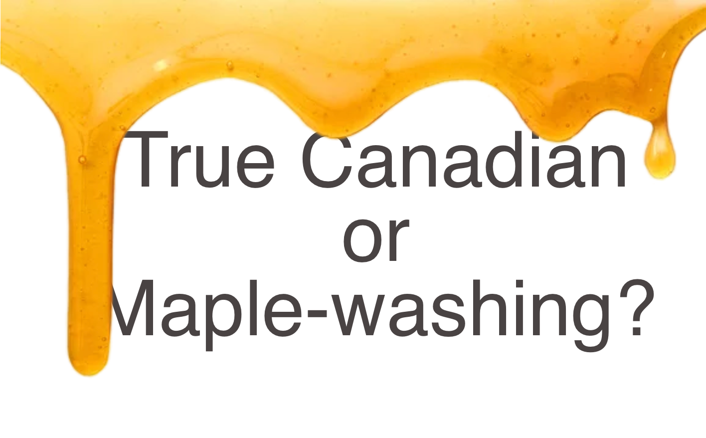 Why We Created the “Verified Real Canadian Company” Badge (and Why It Matters) | enVy Pillow